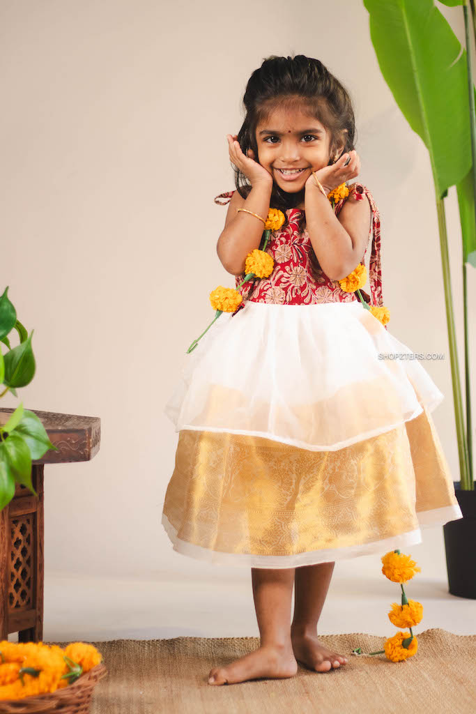 Red Organza Kanna Dress – Shopzters